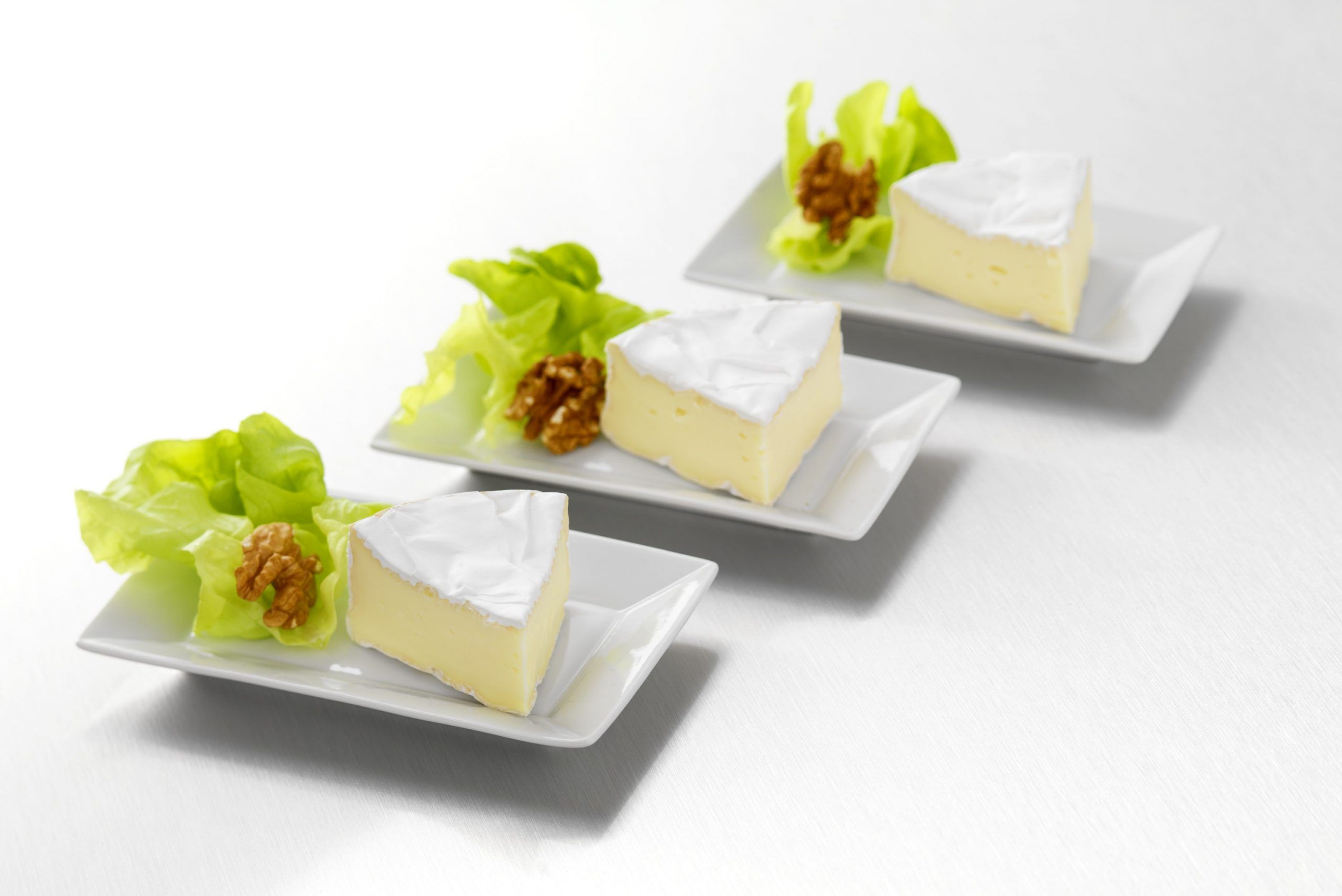 Camembert portion - Eurial food service & industry